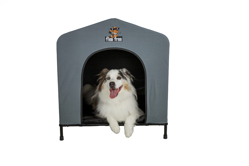 Portable Flea Resistant Dog House - Flea Free Dog Beds | For dogs all ...